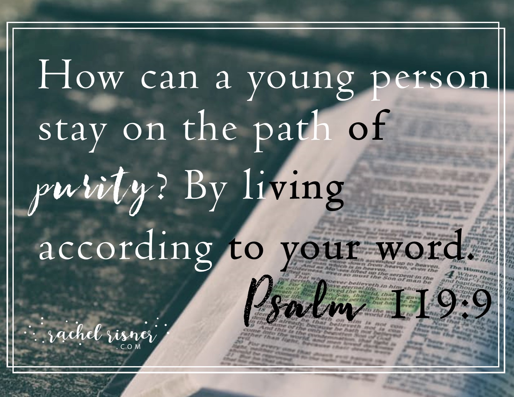 Shareables - Rachel Risner-Choose Jesus